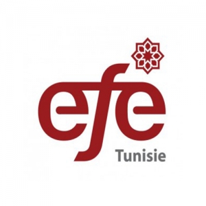 Monitoring, Evaluation and Learning (MEL) Expert Consultant-EFE – Jamaity