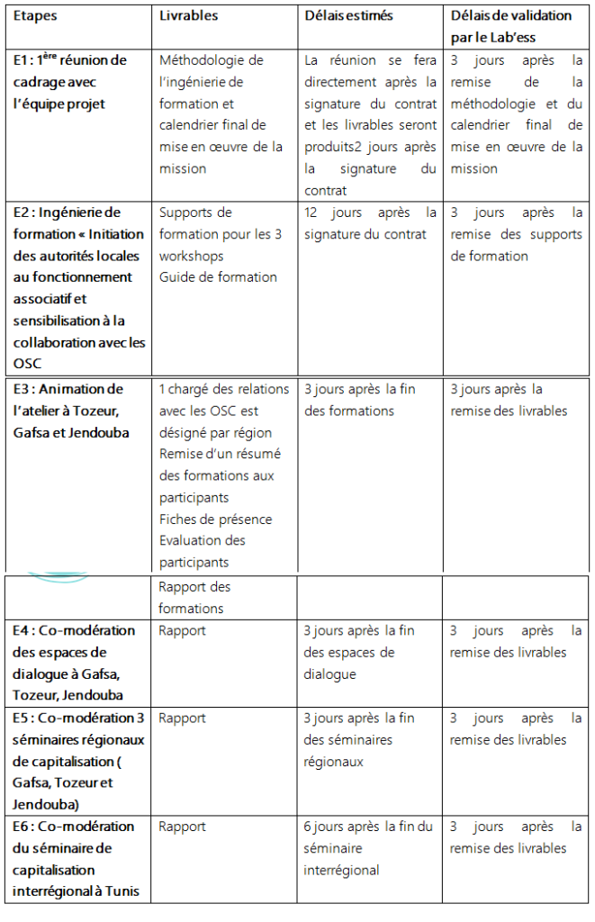 Le LAB’ESS recrute un(e) consultant(e) – Jamaity
